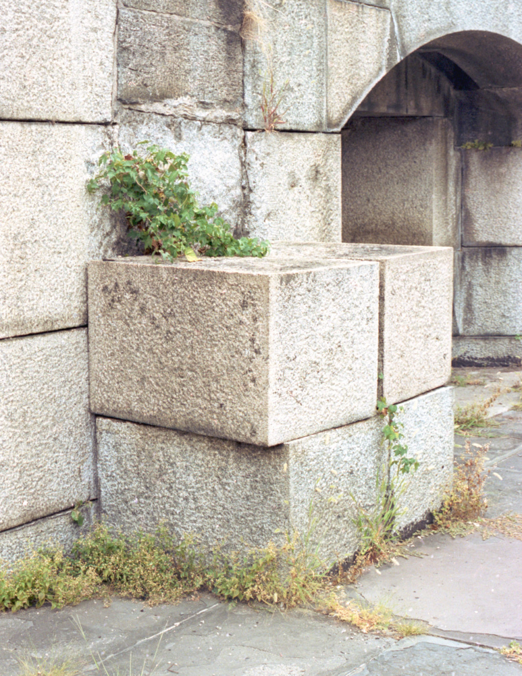 MIRA MOORE — MOTHER TONGUE